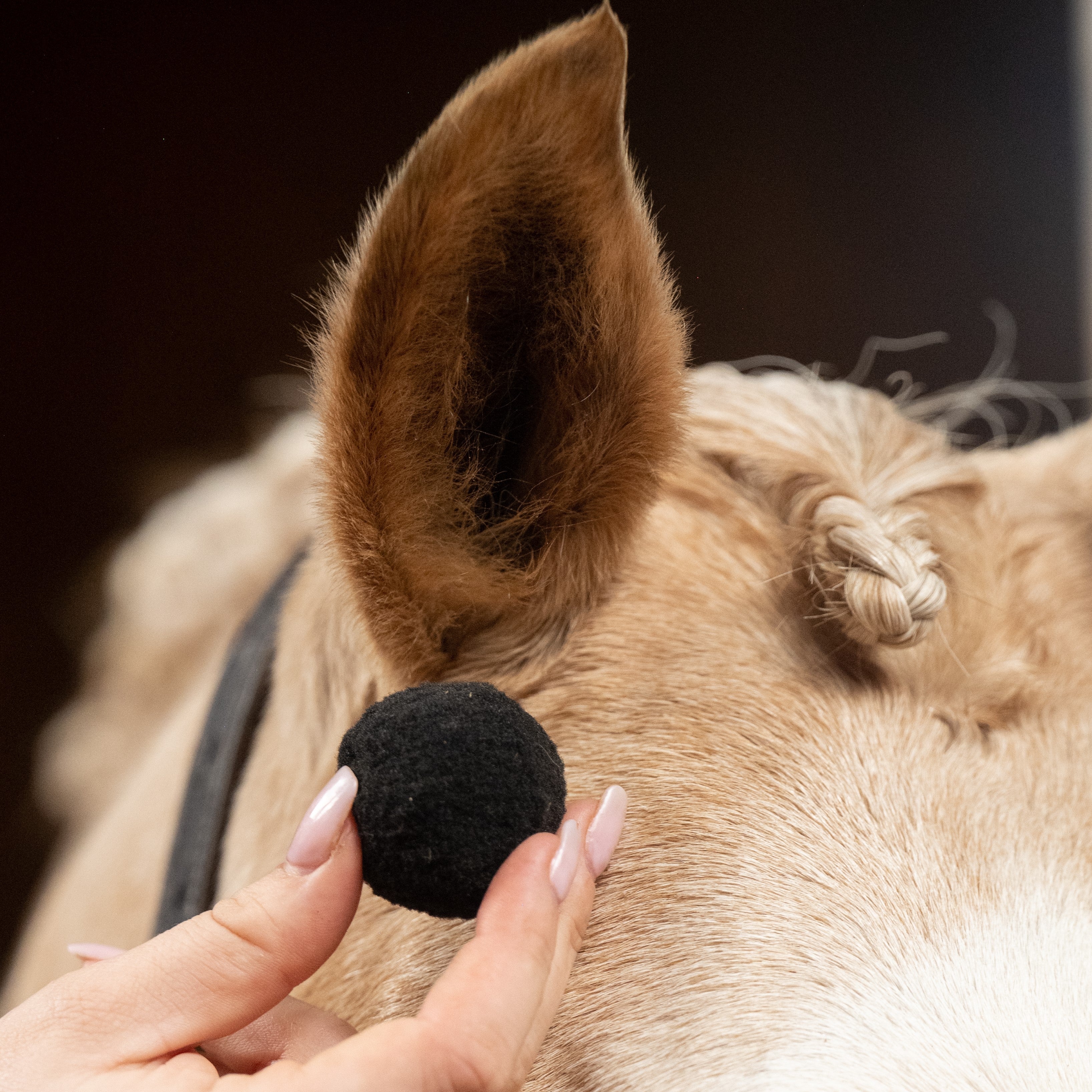 Equi Plugs – Smart Grooming