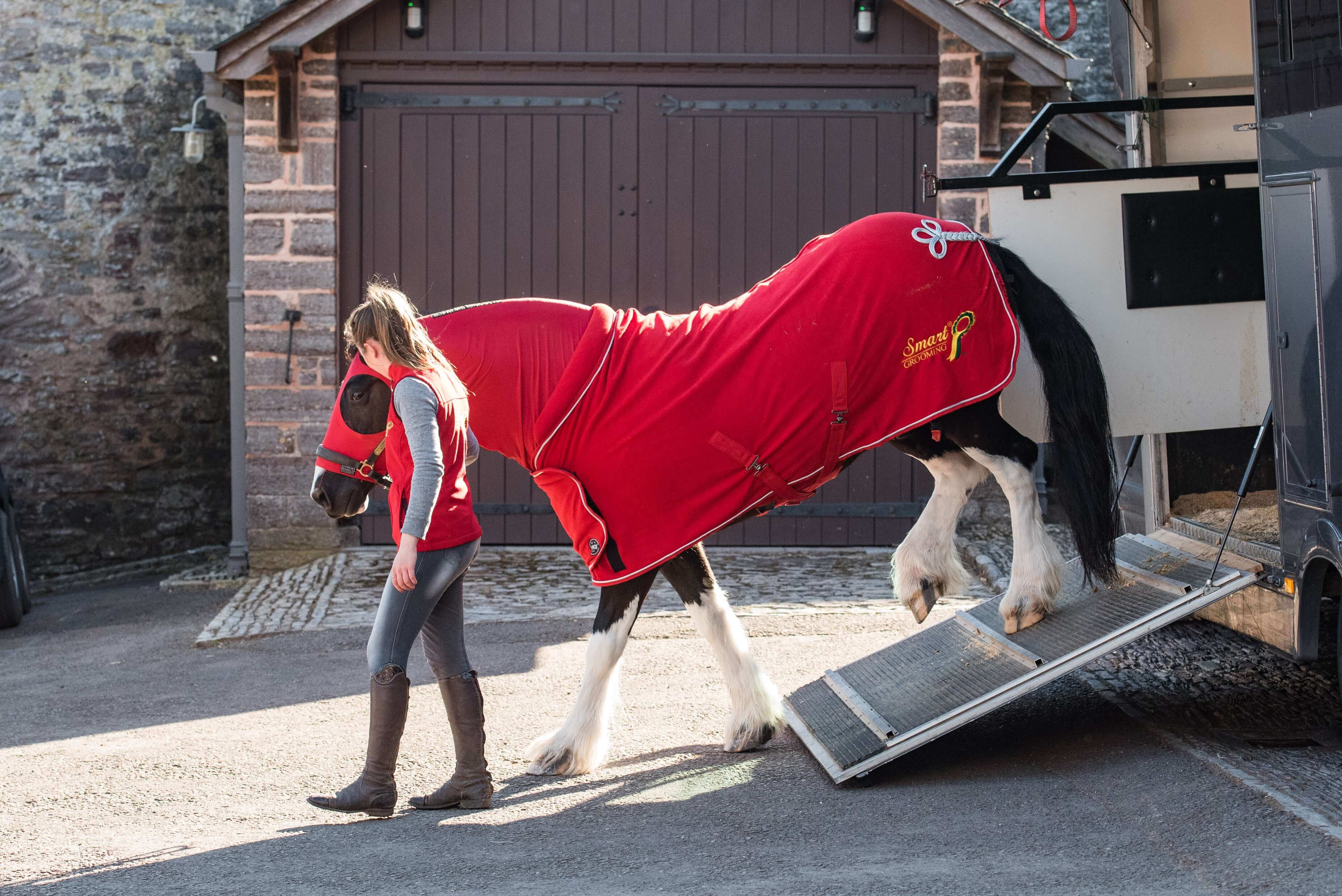 Rugging – Smart Grooming