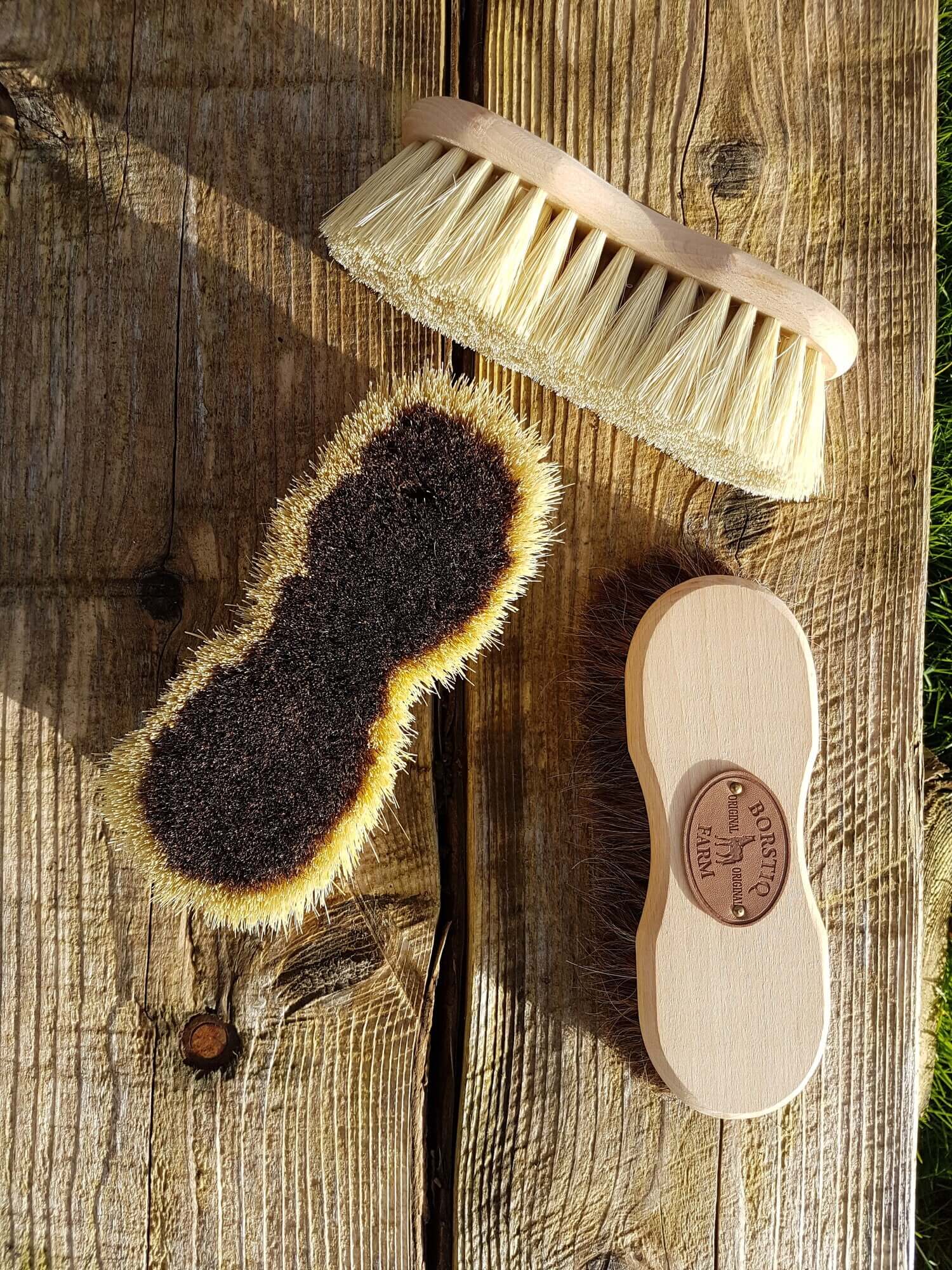 It's All About The Coat – Smart Grooming