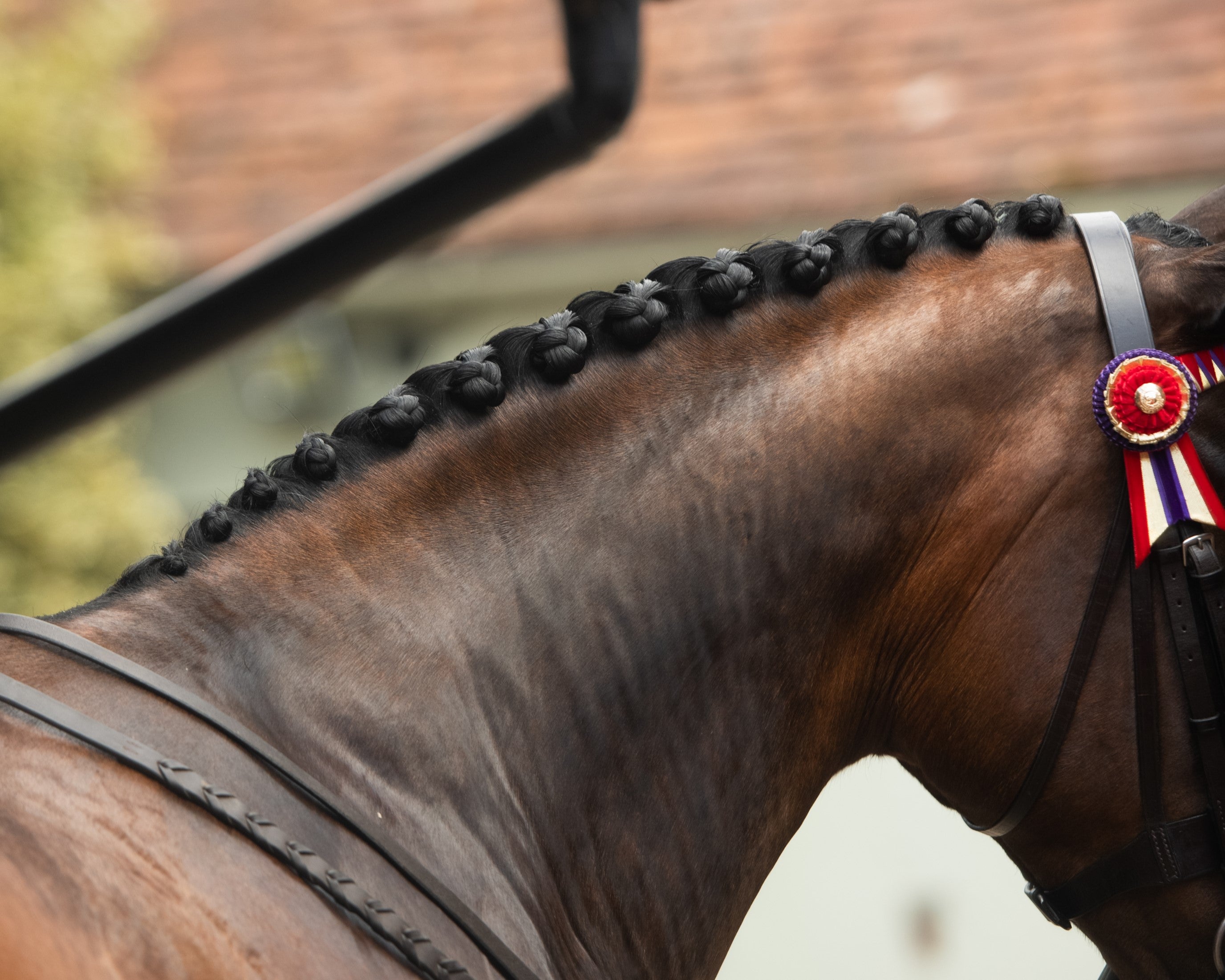 The history behind Plaiting and Braiding – Smart Grooming