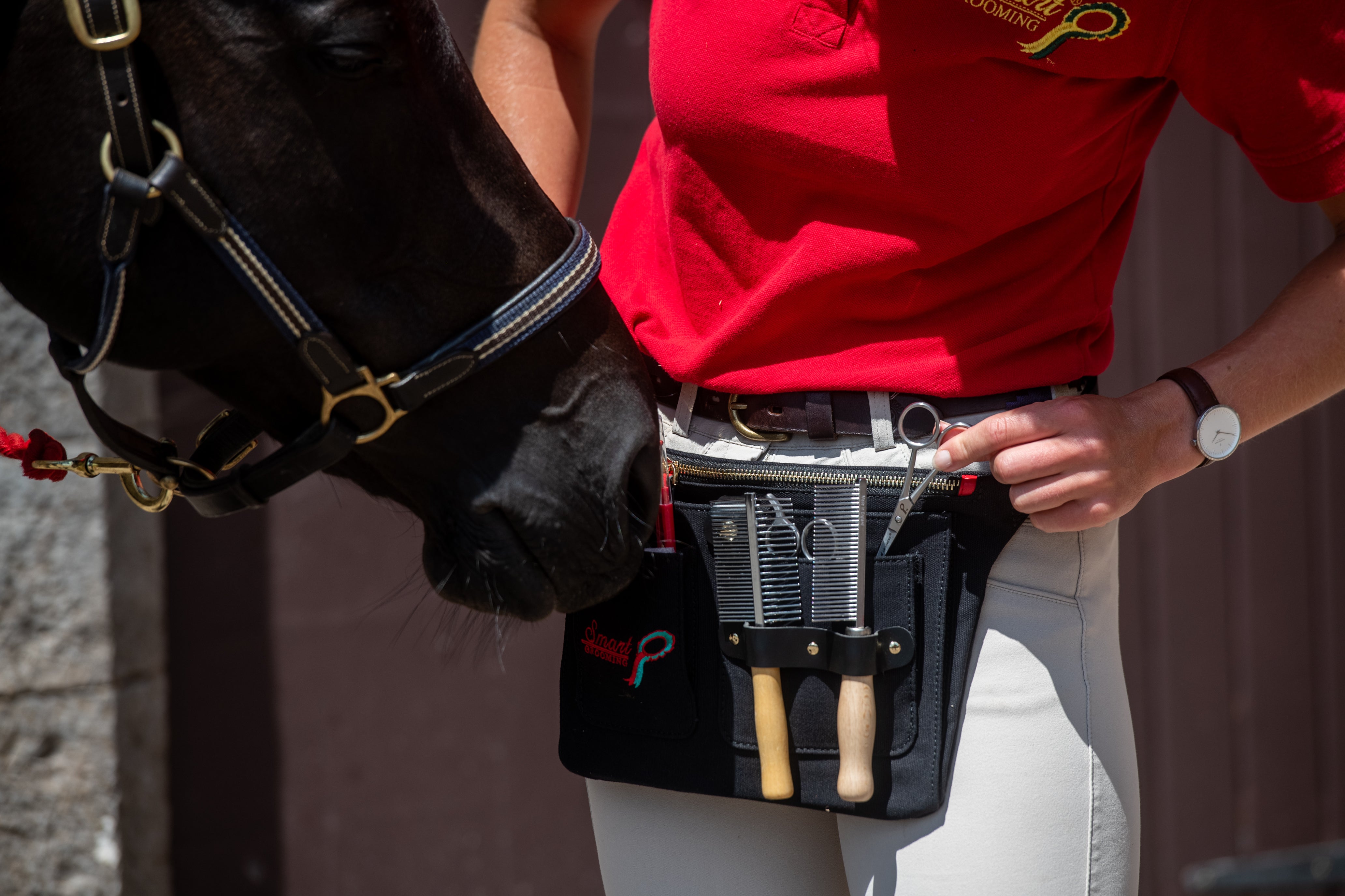 What you need in your plaiting kit – Smart Grooming