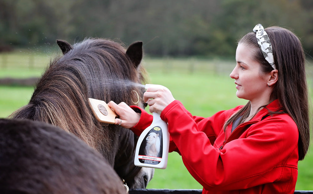 How to keep a Mane and Tail Tidy and Tangle Free