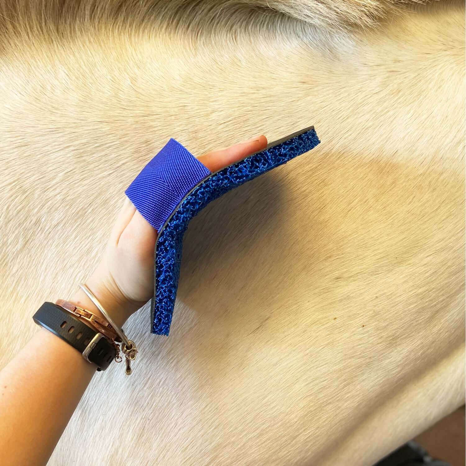 Why you need a Super Groomer – Smart Grooming