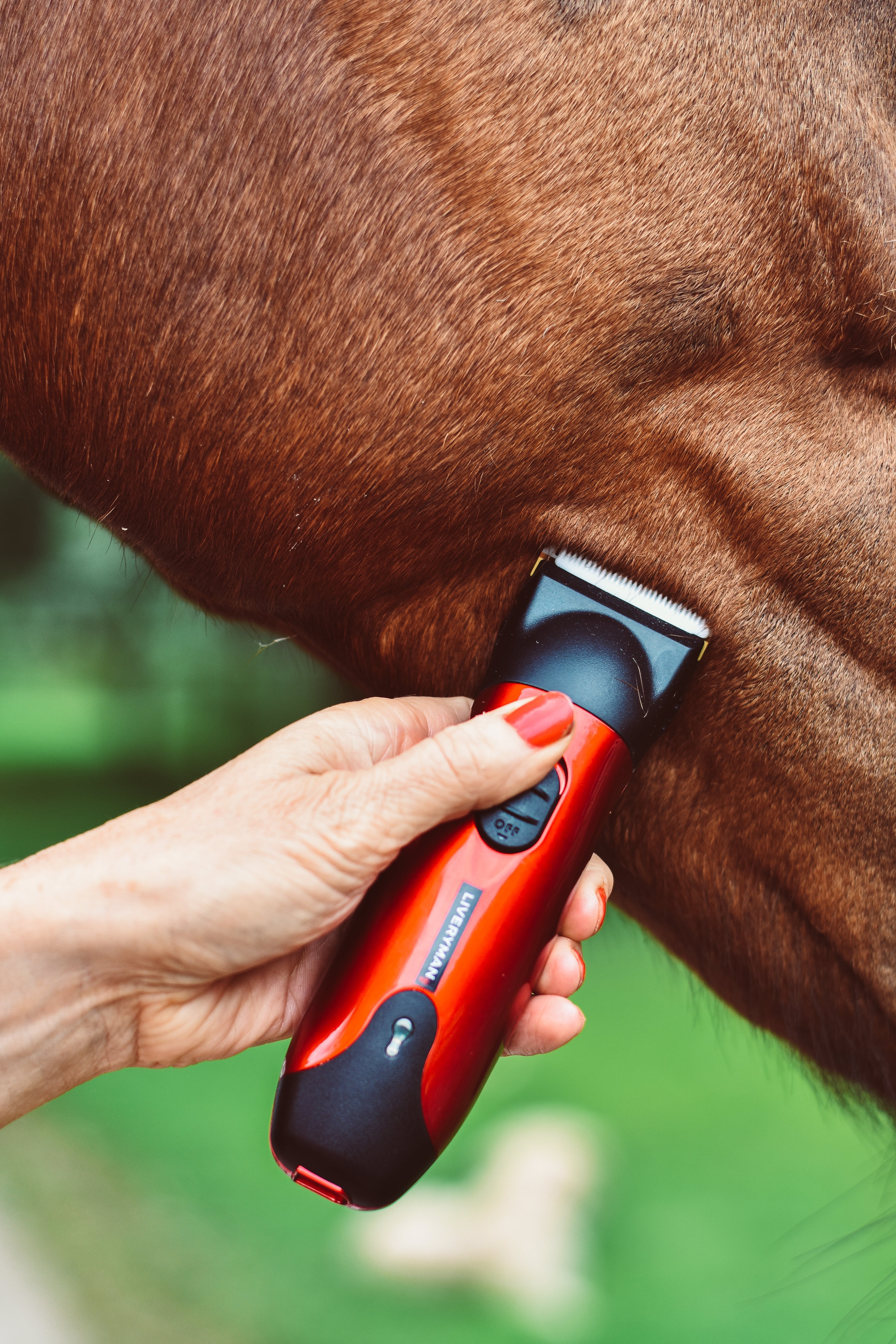 Trimmers - Horse Trimmers for Tidying, Faces, and Legs – Smart Grooming
