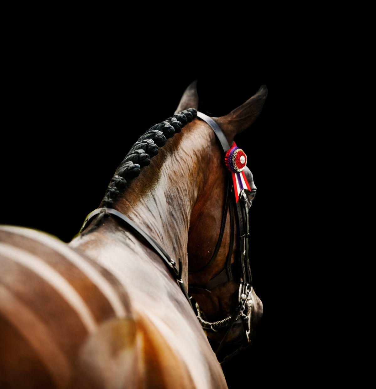 Plaiting & Braiding – Smart Grooming