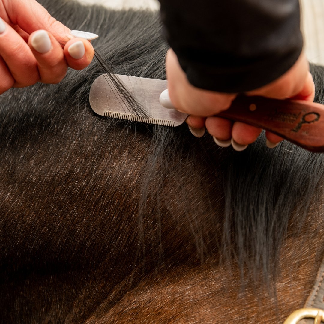 Scissors & Trimming Tools for Horses – Smart Grooming