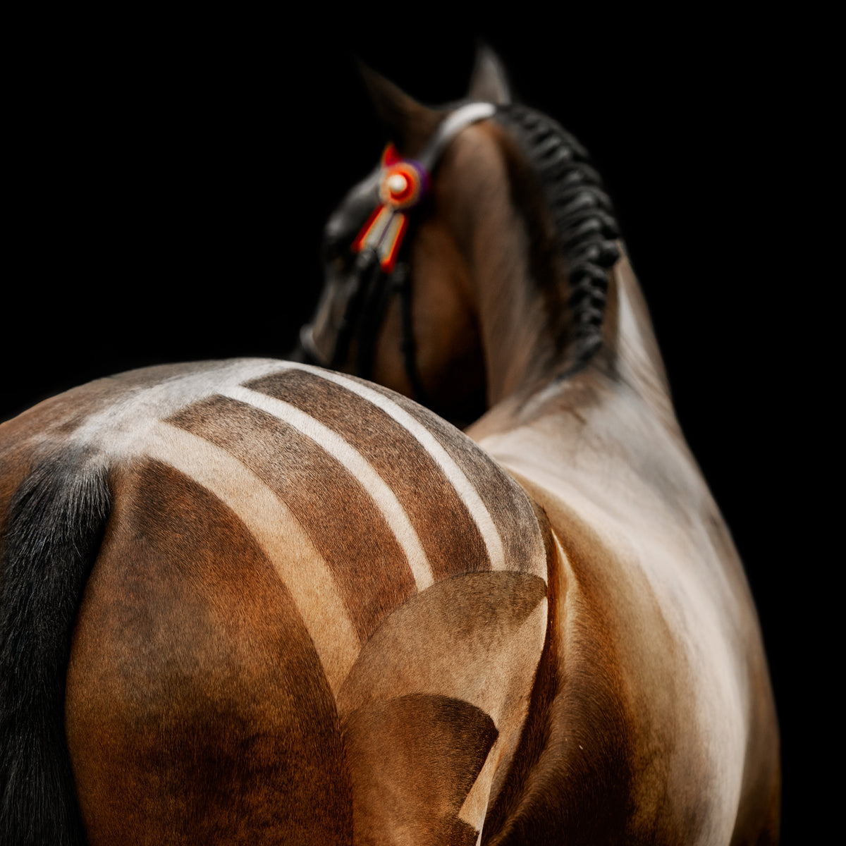 How To's – Smart Grooming