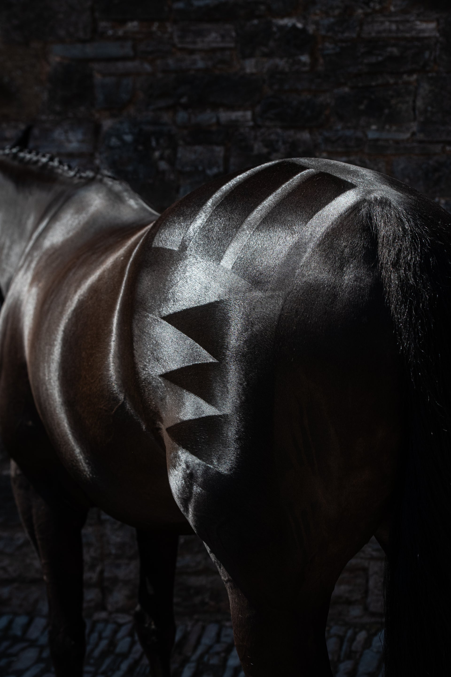 Smart Grooming the home of Horse Grooming excellence and quality