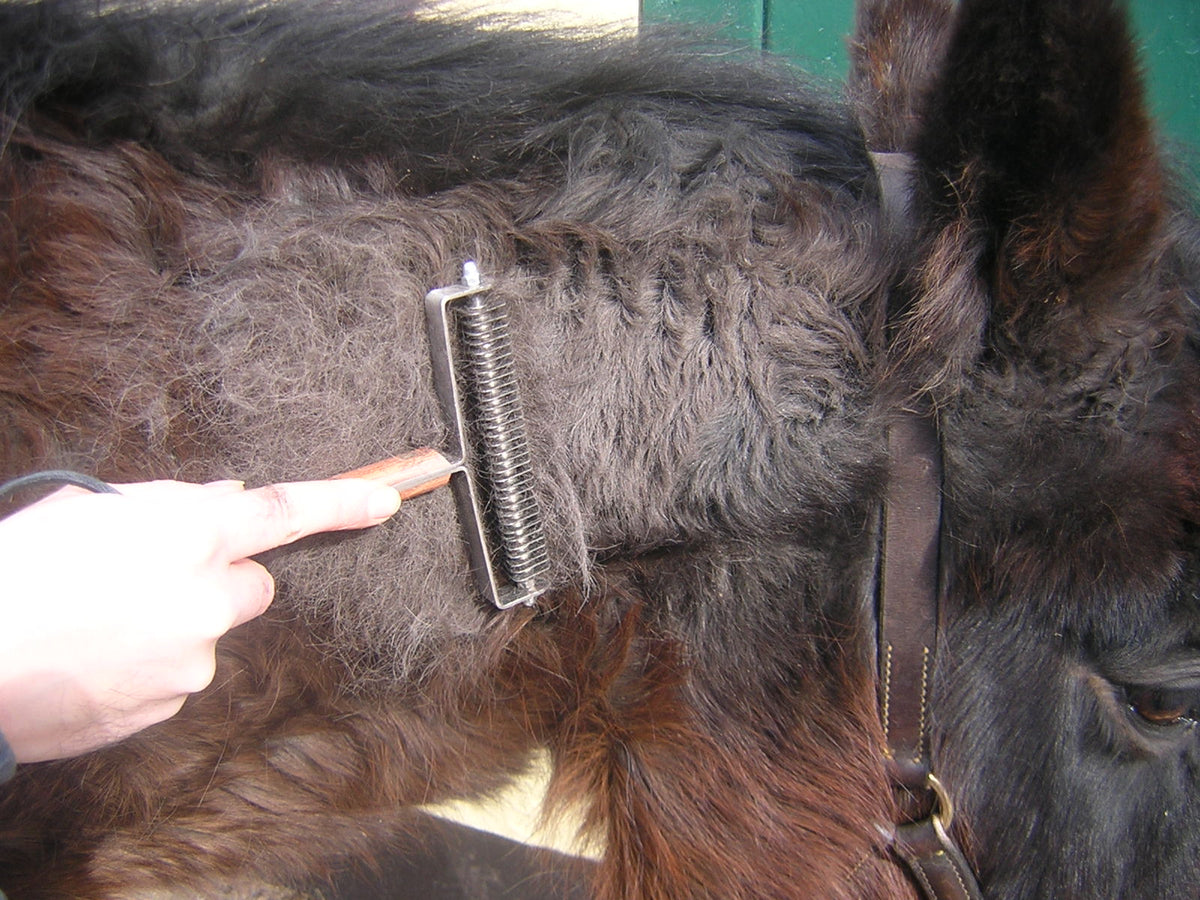 Horse Hair Shedding – Smart Grooming