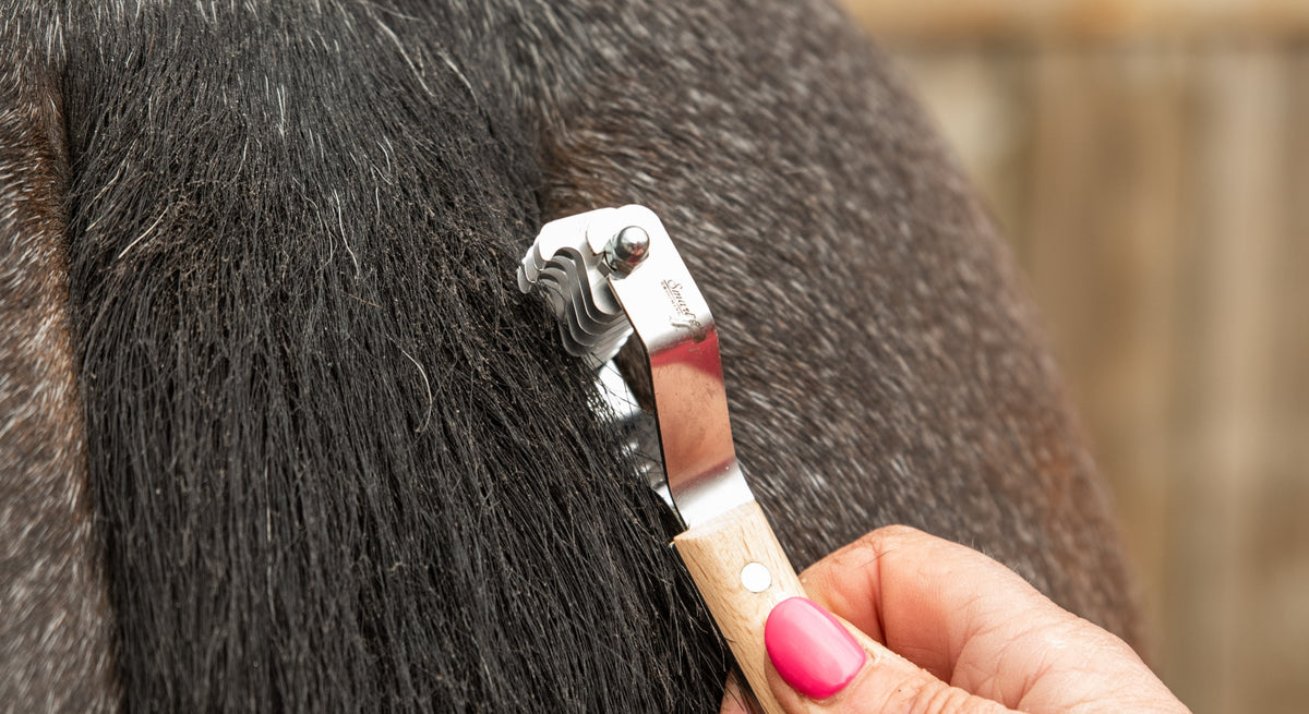 How To Groom Manes & Tails – Smart Grooming