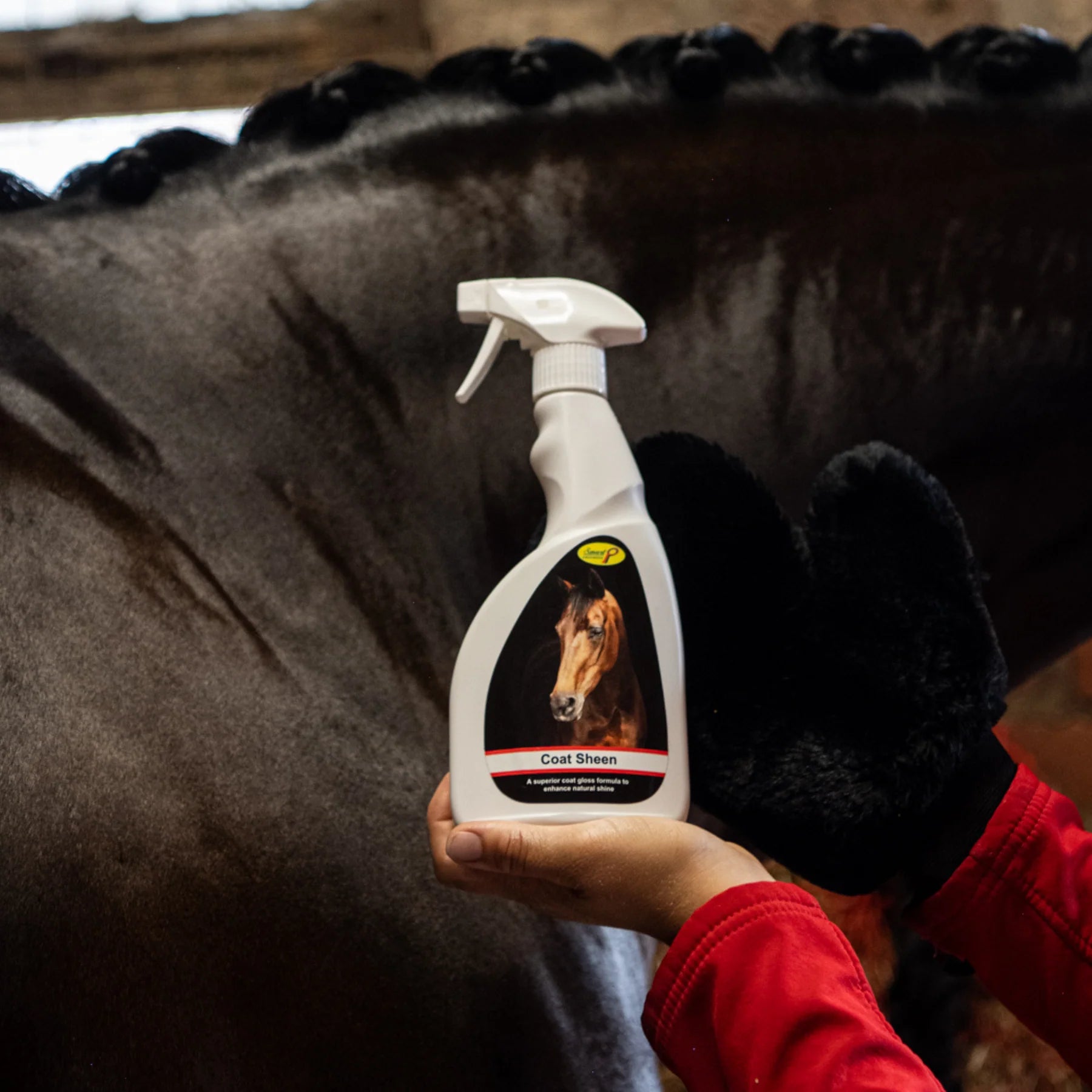 Coat Sheen & Mitt Duo – Smart Grooming