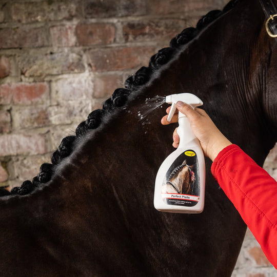 Plaiting & Braiding – Smart Grooming