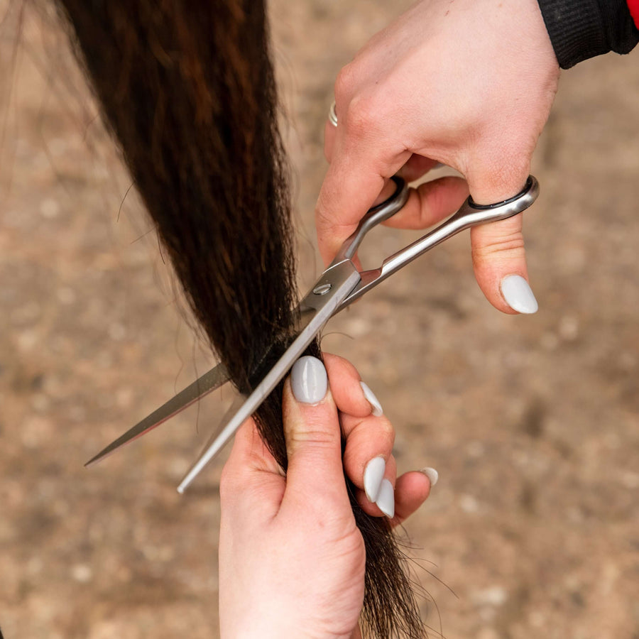 7.5"19cm Pointed Tail Scissors | Horse Grooming Scissors – Smart Grooming