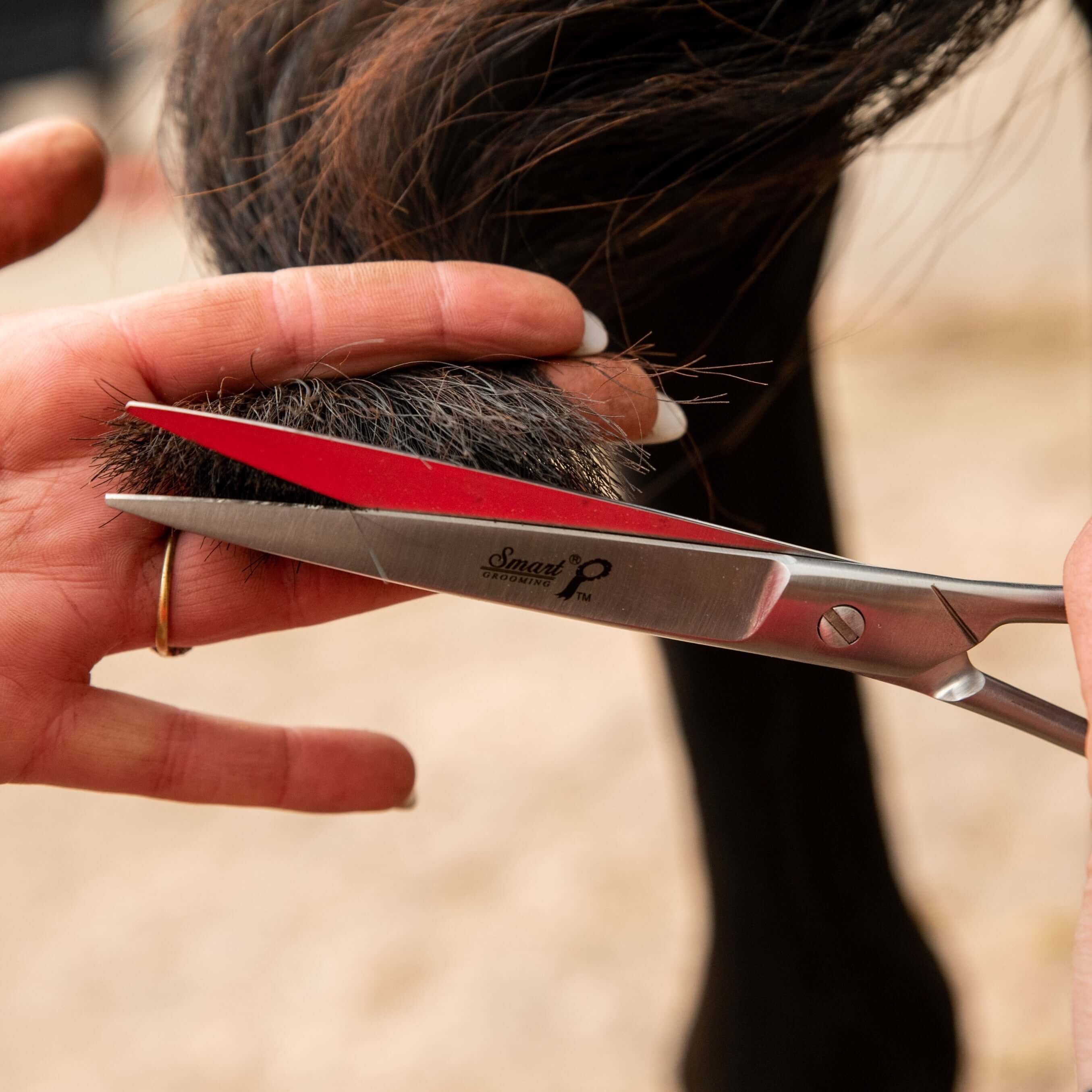 7.5"19cm Pointed Tail Scissors | Horse Grooming Scissors – Smart Grooming