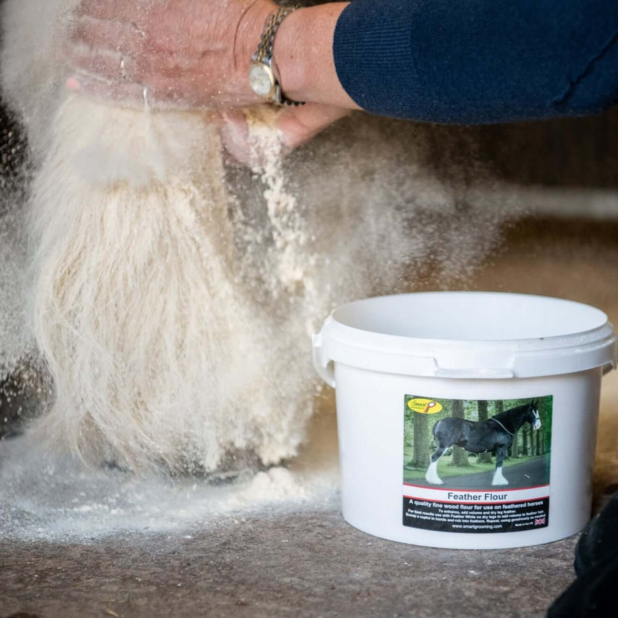 How to Keep Your White Horse Clean – Smart Grooming
