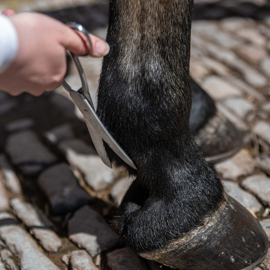 Scissors & Trimming Tools for Horses – Smart Grooming