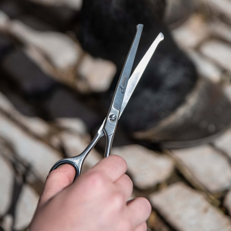 Scissors & Trimming Tools for Horses – Smart Grooming