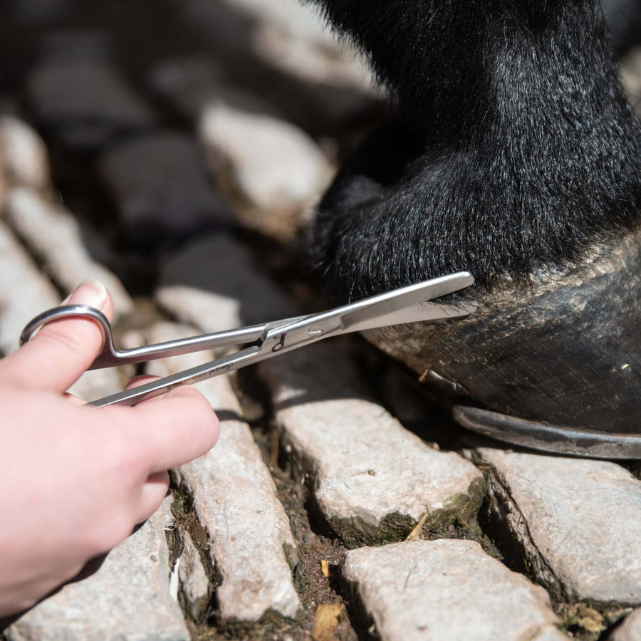 Scissors & Trimming Tools for Horses – Smart Grooming