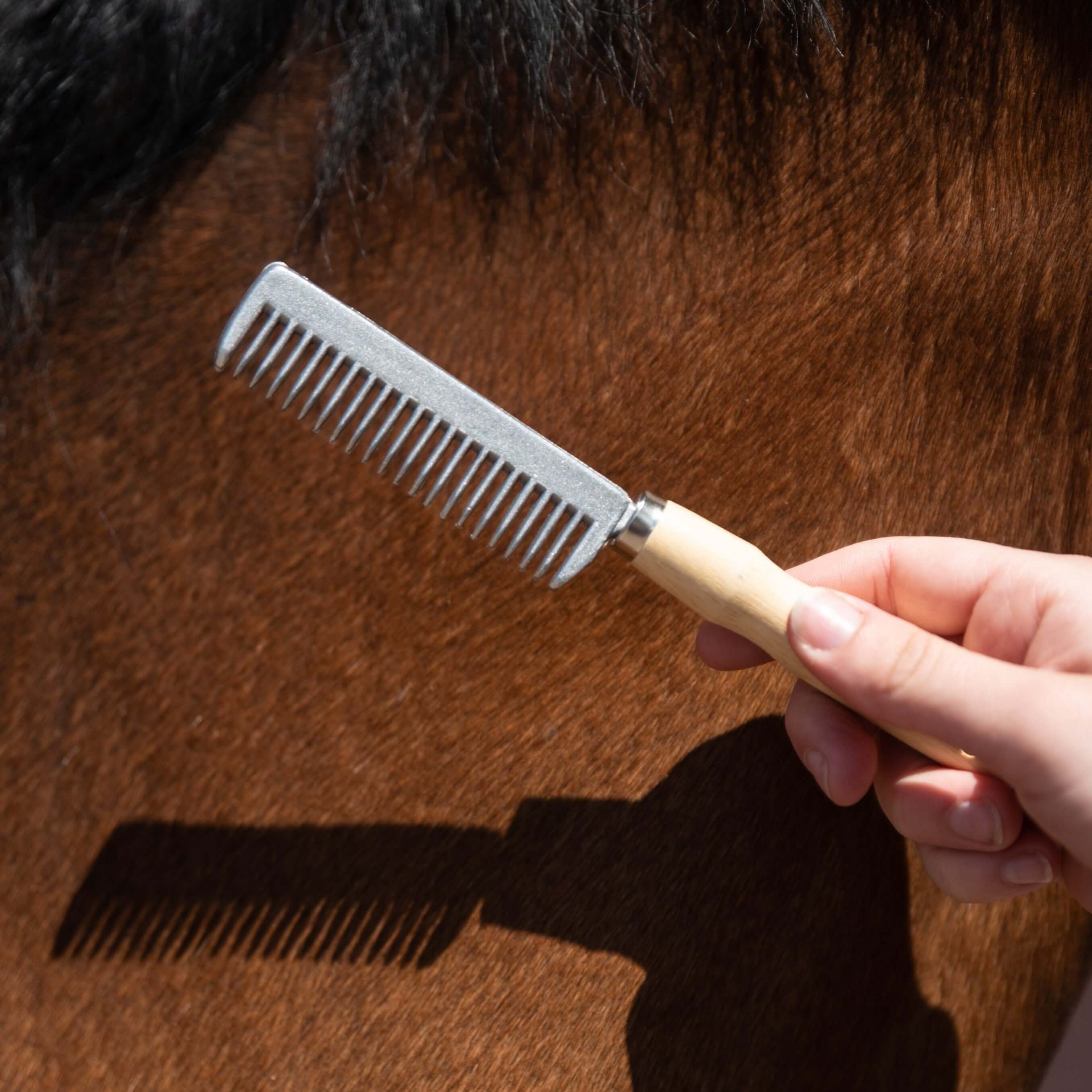 Mane Pulling Comb – Smart Grooming
