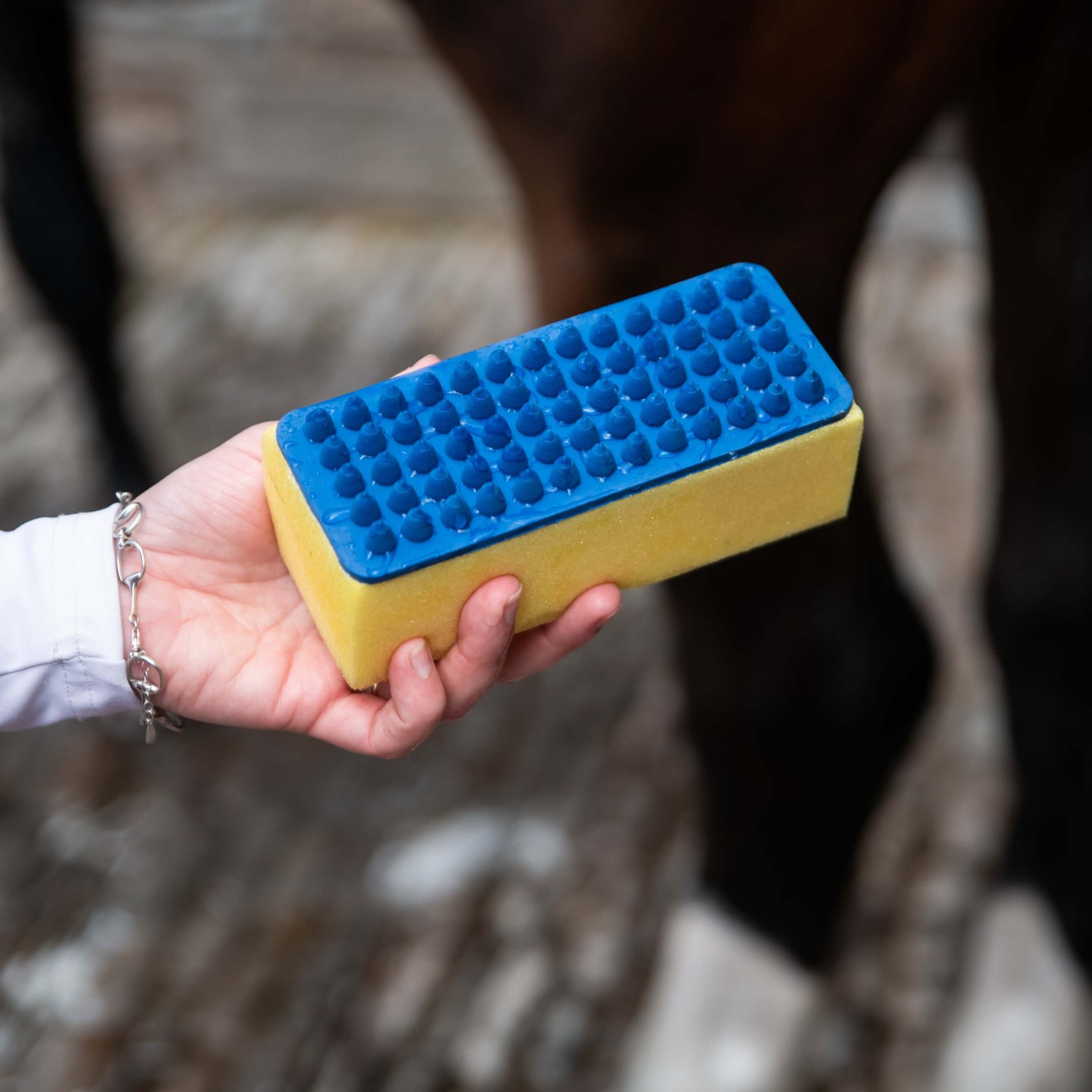 Massage Sponge | Horse Shampoo – Smart Grooming