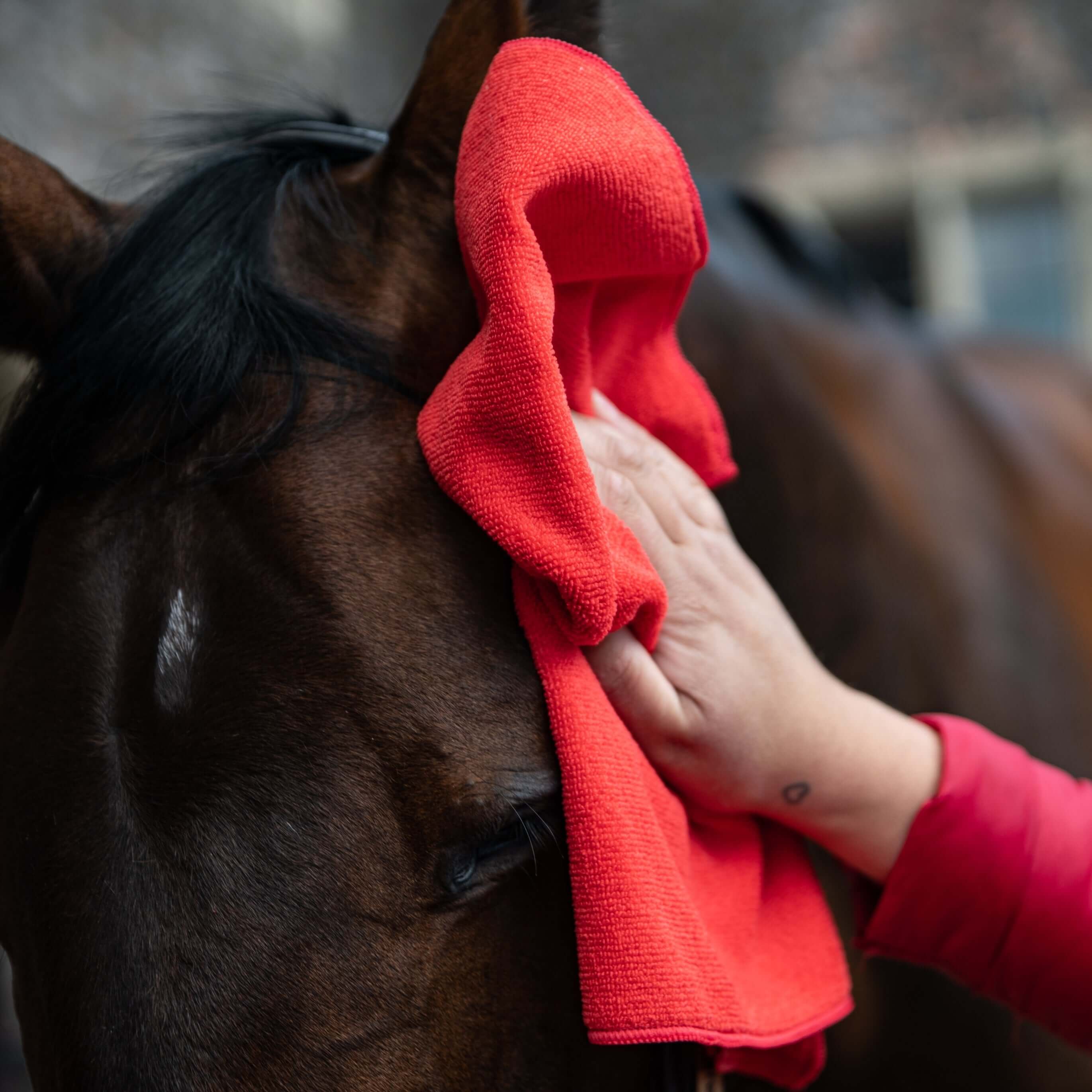 Microfibre Cloth | Horse Shampoo – Smart Grooming