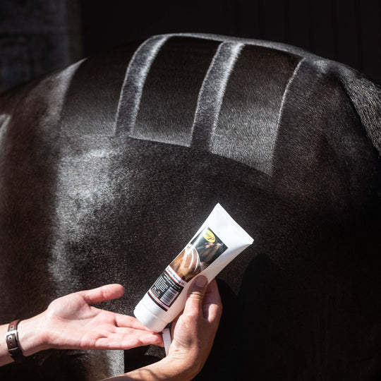 Quarter Marking For Your Horse – Smart Grooming