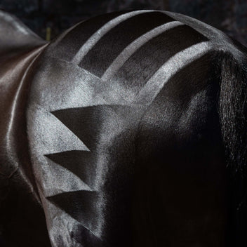 Smart Tails Standard Range – Smart Grooming