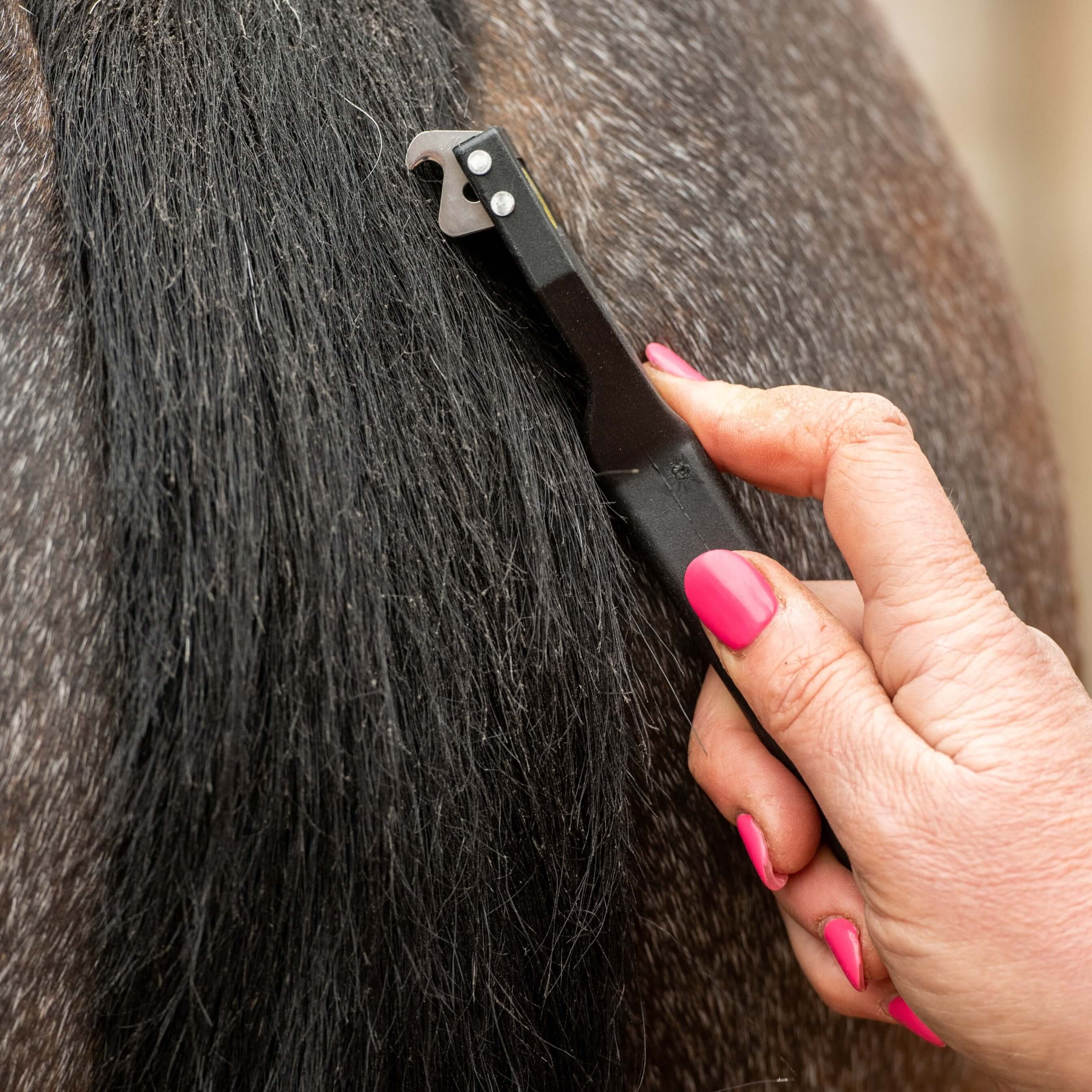 Smart Tails Standard Range – Smart Grooming